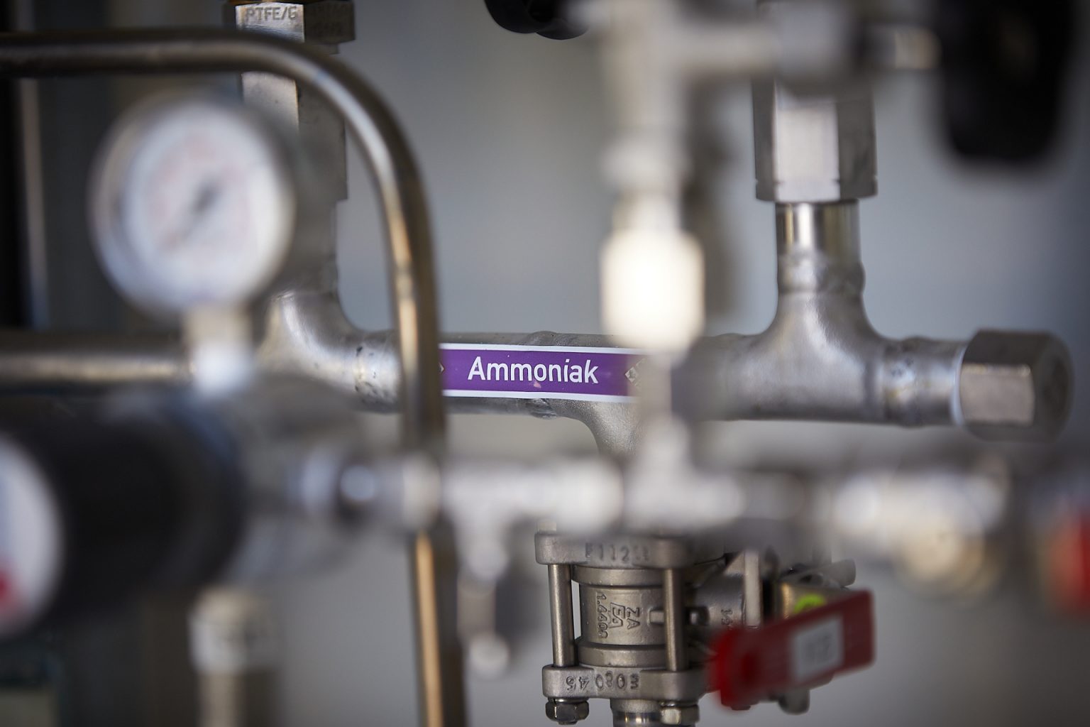 Green ammonia infrastructure put into operation | WTZ : WTZ